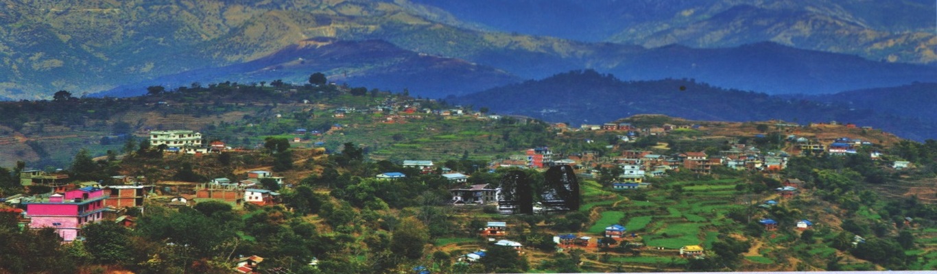 दुल्लू नगरपालिका ,नगर कार्यपालिकाे कार्यालय दुल्लू ,दैलेख | कर्णाली ...